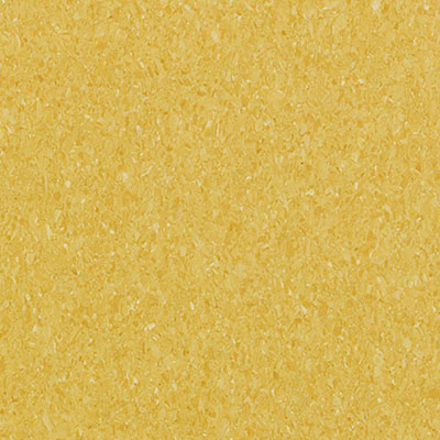 Store - Linoleum Floor